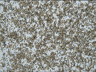 マンガン砂 | 日本原料株式会社